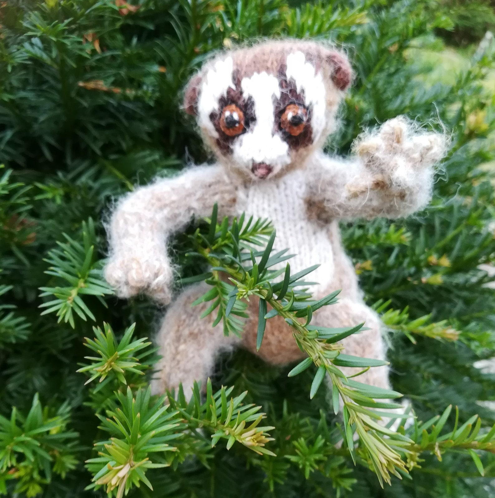 Slow Loris (knitting Pattern) - Etsy