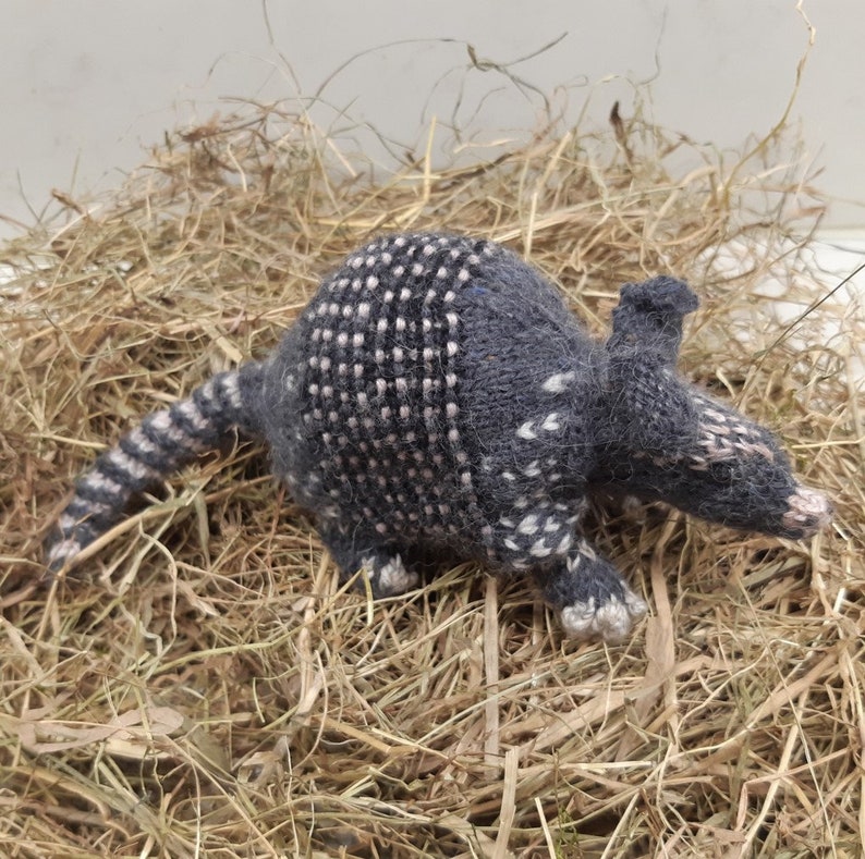 Armadillo knitting Pattern - Etsy