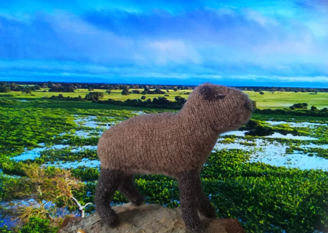 Capybara knitting Pattern | Etsy