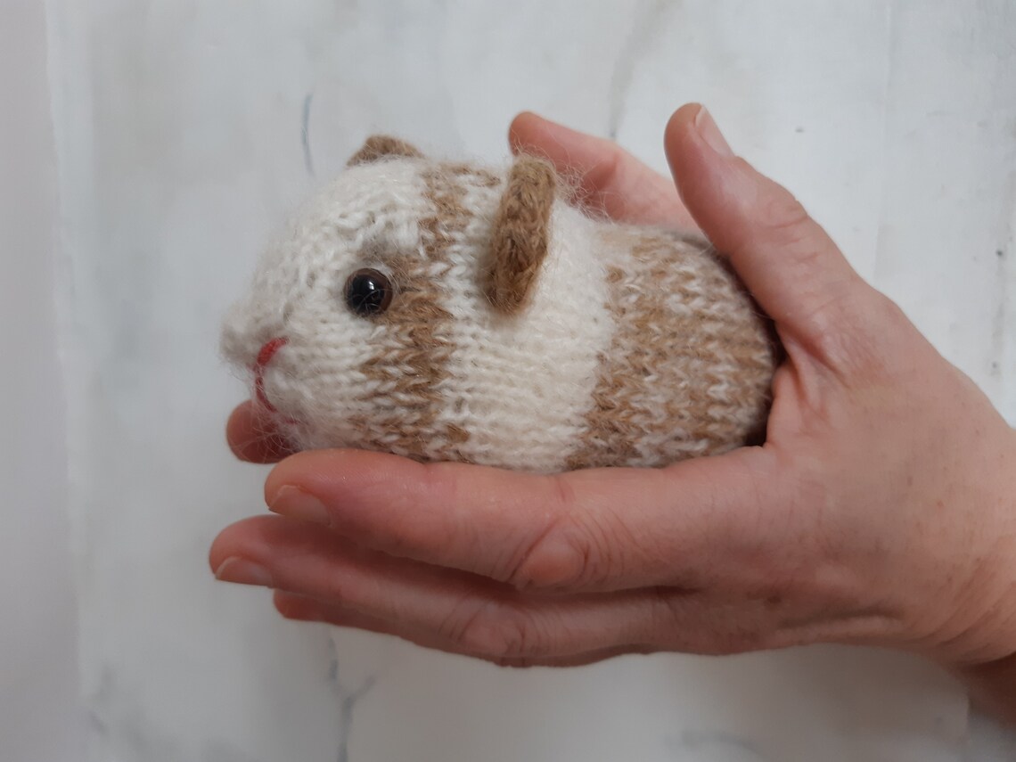 Guinea Pig knitting Pattern - Etsy