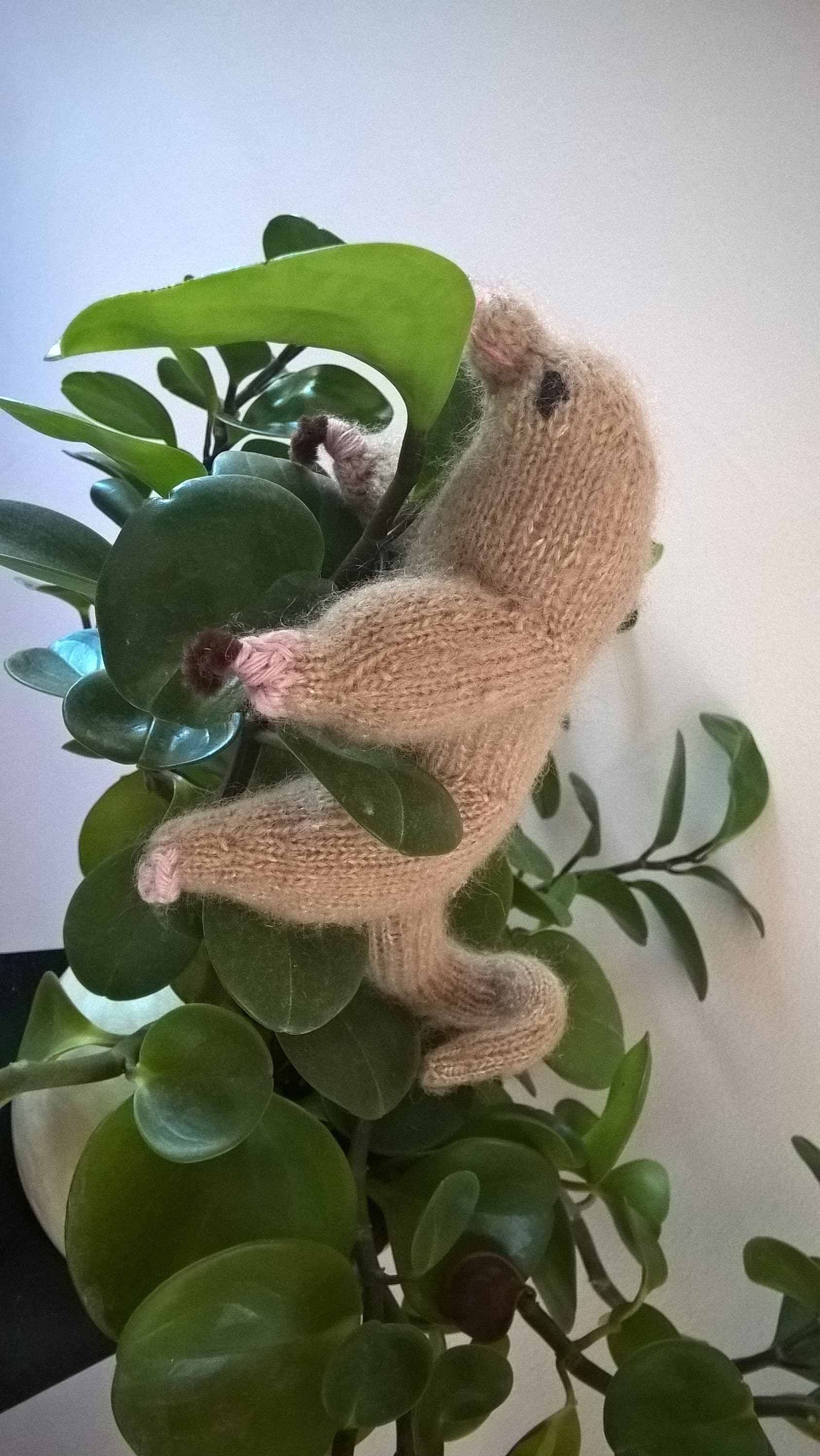 Silky Anteater (knitting Pattern) - Etsy