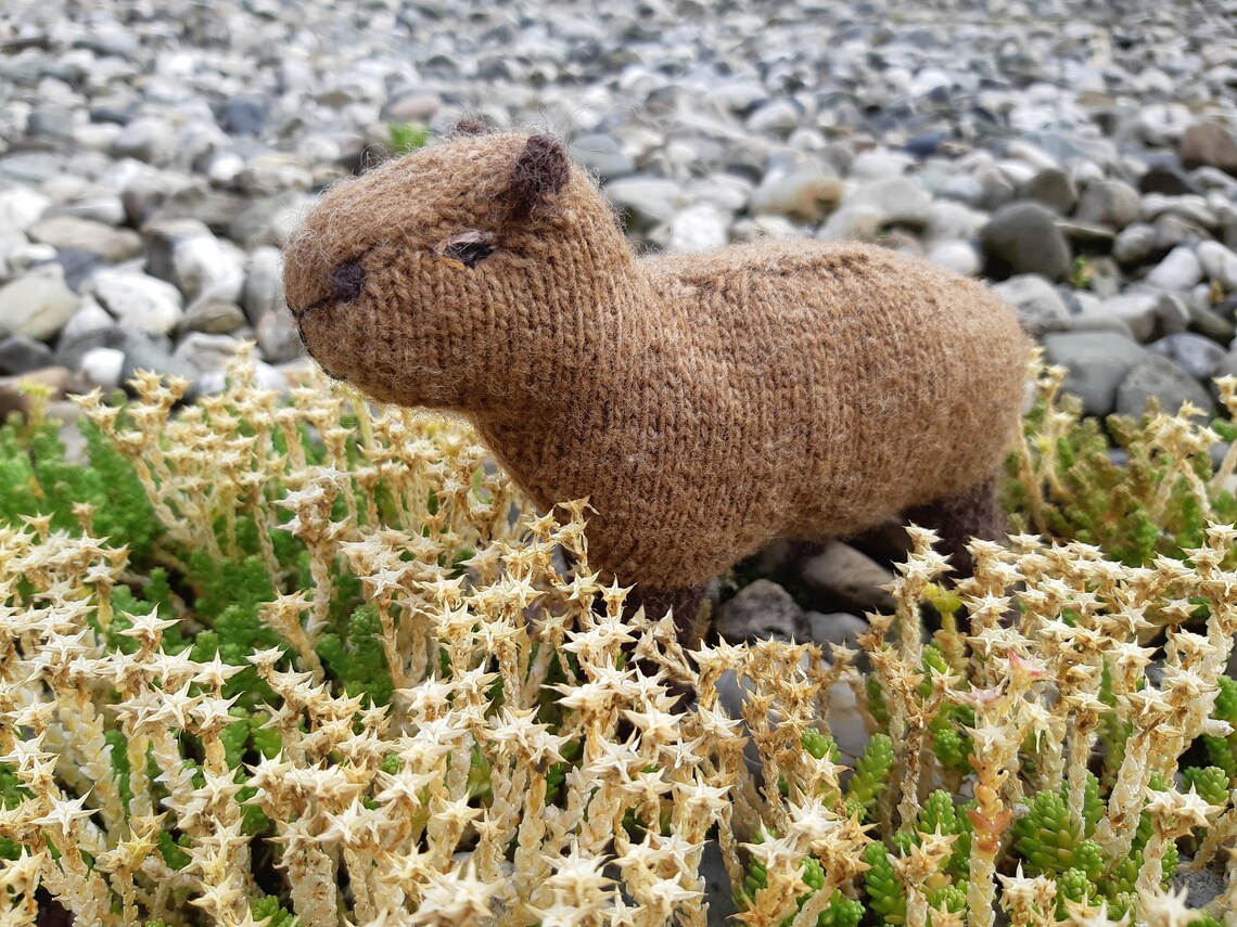 Capybara knitting Pattern - Etsy