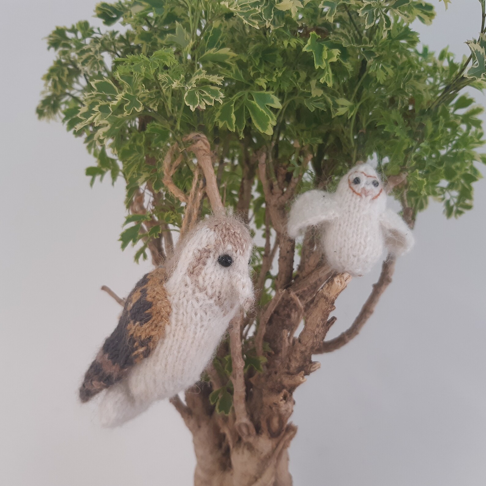 Owls (knitting Pattern) - Etsy