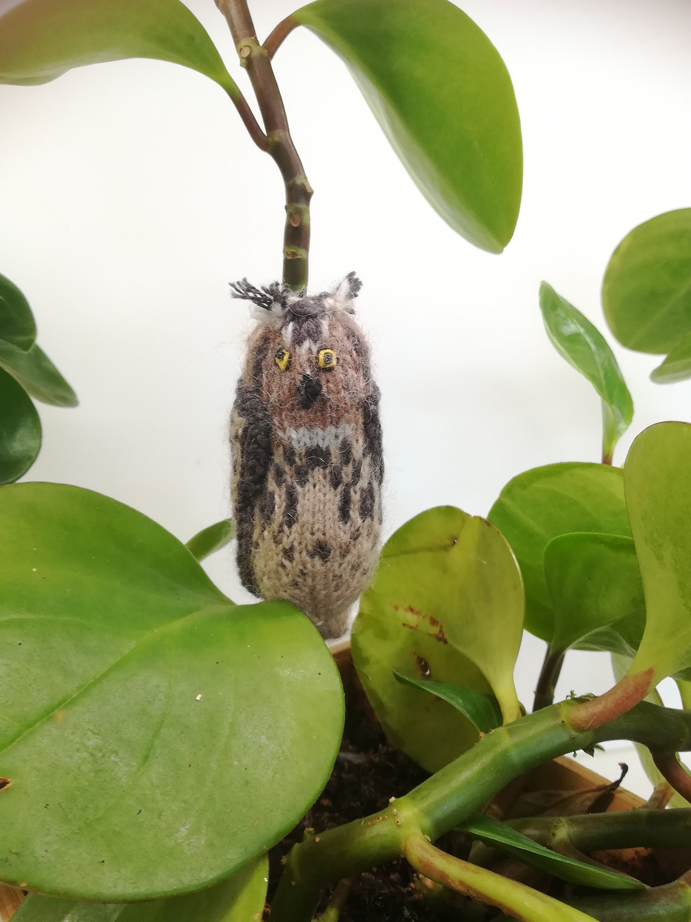 Owls (knitting Pattern) - Etsy