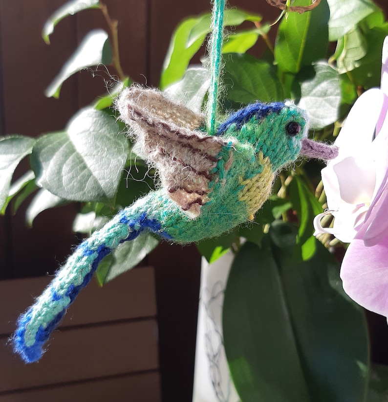In-house Bird Watching: Hummingbirds (knitting Pattern) - Etsy