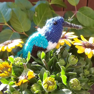 In-house Bird Watching: Hummingbirds (knitting Pattern) - Etsy