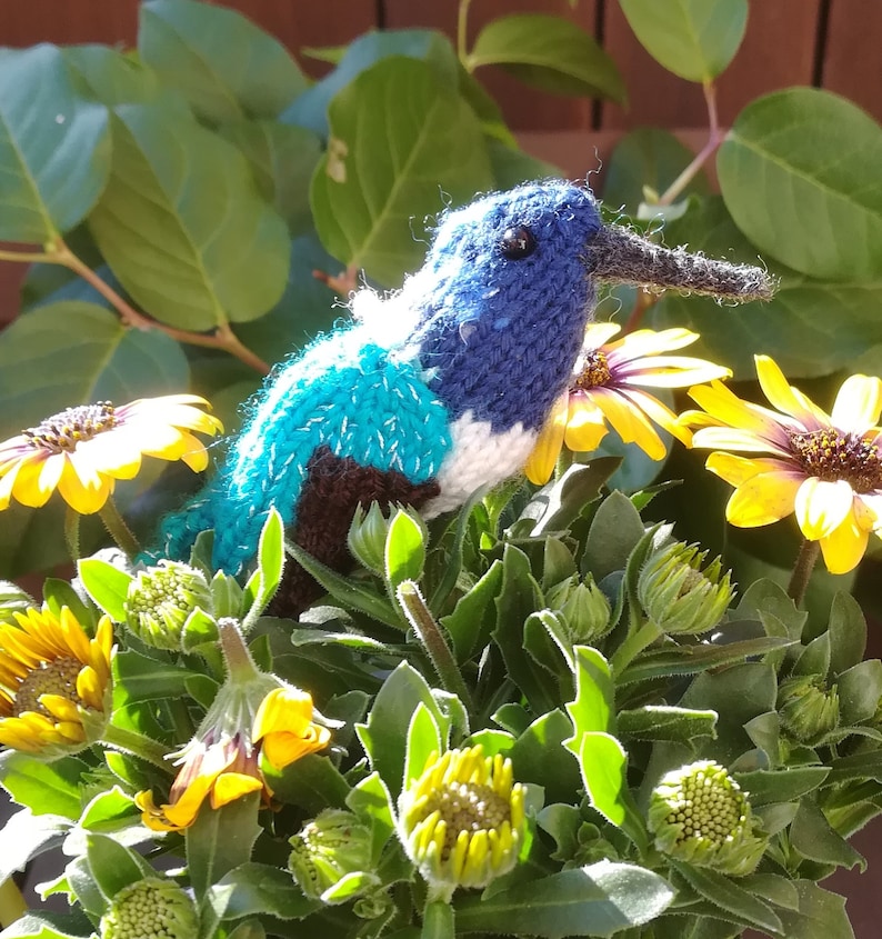 In-house Bird Watching: Hummingbirds knitting Pattern - Etsy