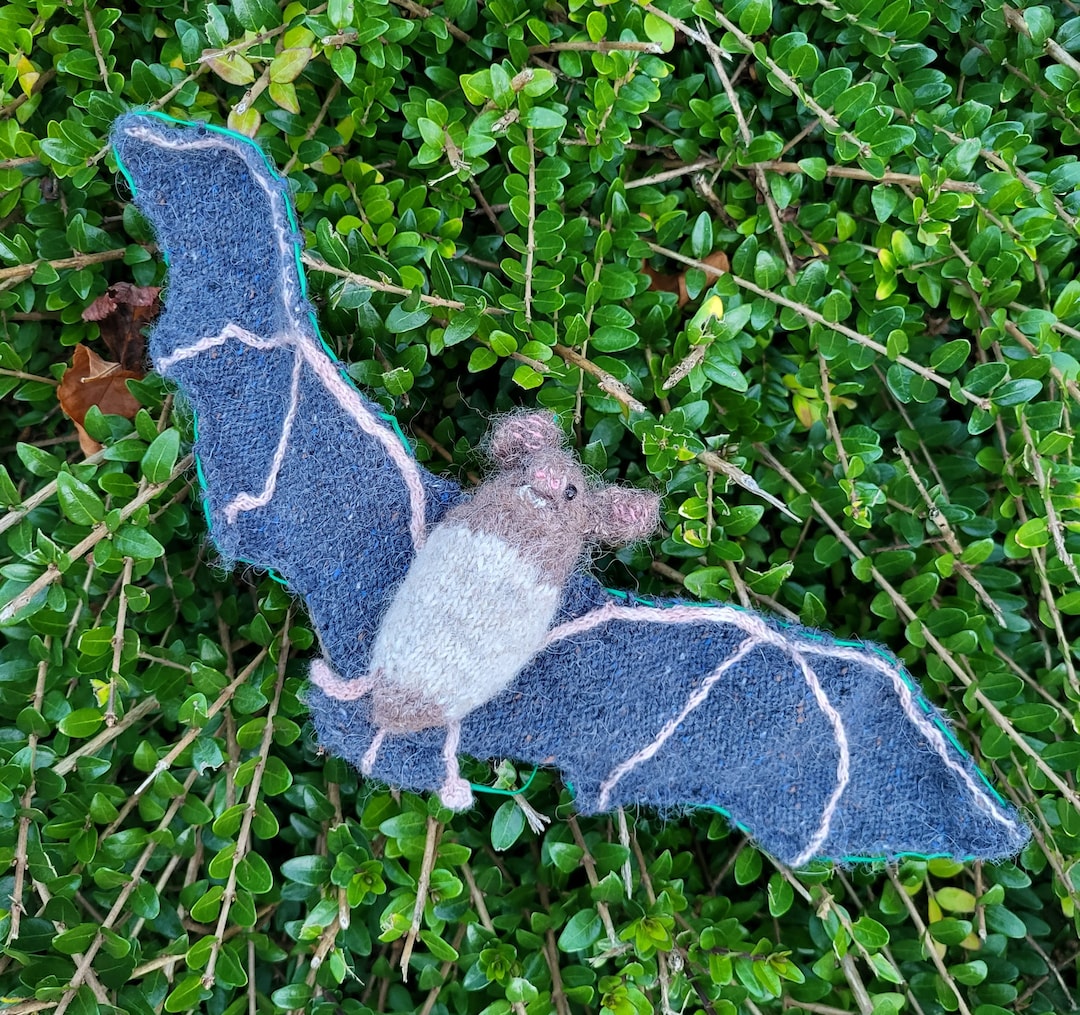 Vesper Bat (knitting Pattern) - Etsy