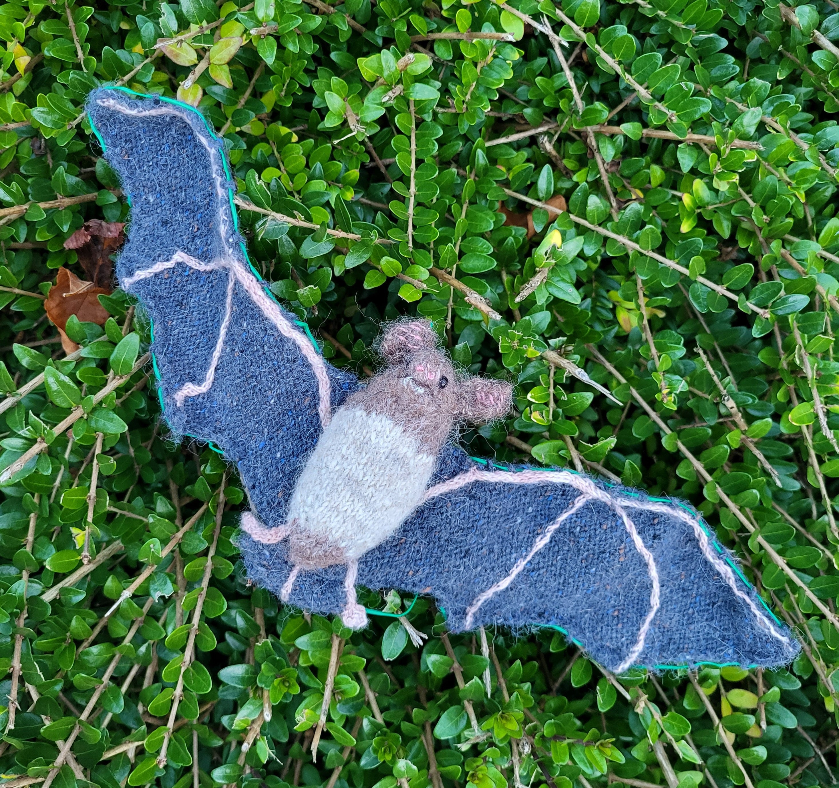 Vesper Bat knitting Pattern - Etsy