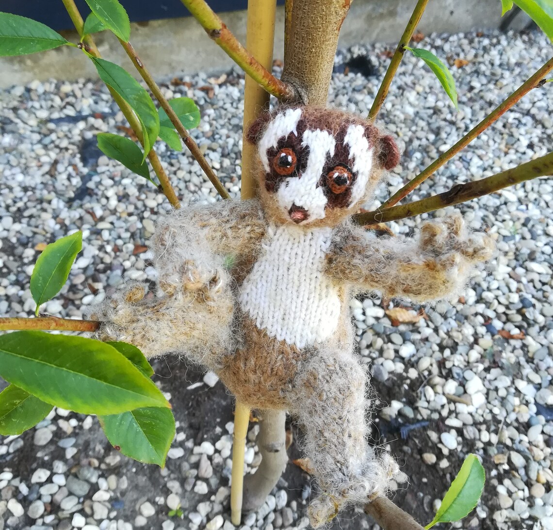Slow Loris (knitting Pattern) - Etsy