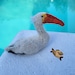 Seabirds (knitting Pattern) - Etsy