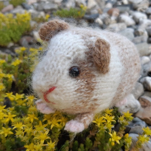 Guinea Pig knitting Pattern | Etsy