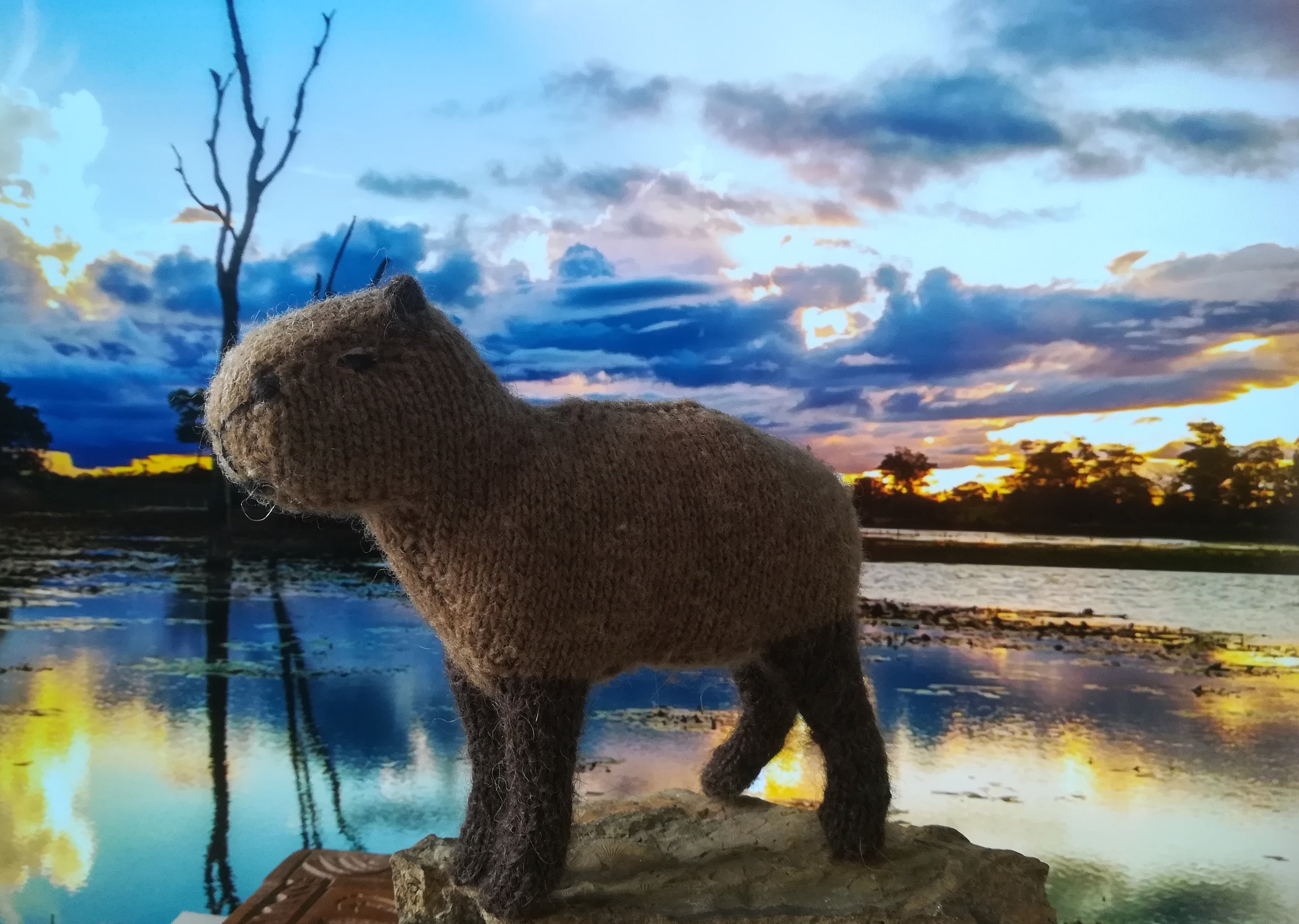 Capybara (knitting Pattern) - Etsy