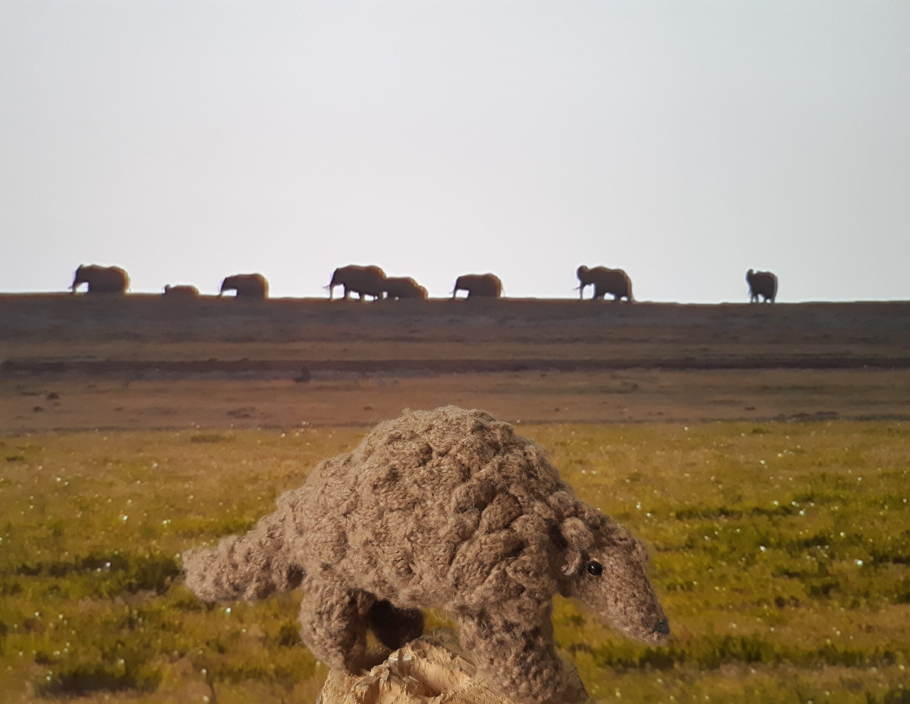 Pangolin knitting pattern | Etsy