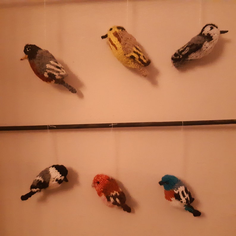 Backyard Birds (knitting Pattern) - Etsy