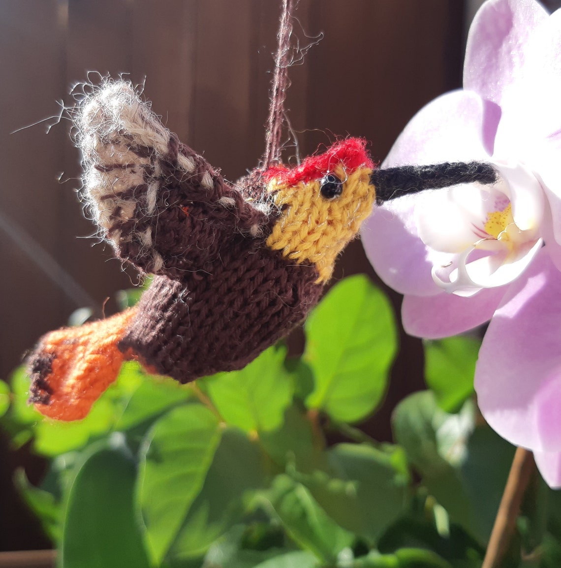 In-house Bird Watching: Hummingbirds knitting Pattern - Etsy