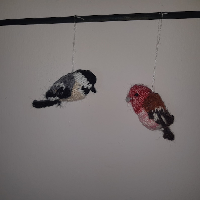 Backyard Birds (knitting Pattern) - Etsy