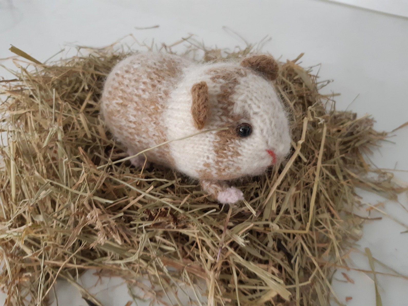 Guinea Pig (knitting Pattern) - Etsy
