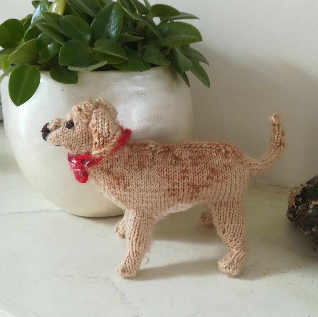 Labrador Retriever (knitting Pattern) - Etsy