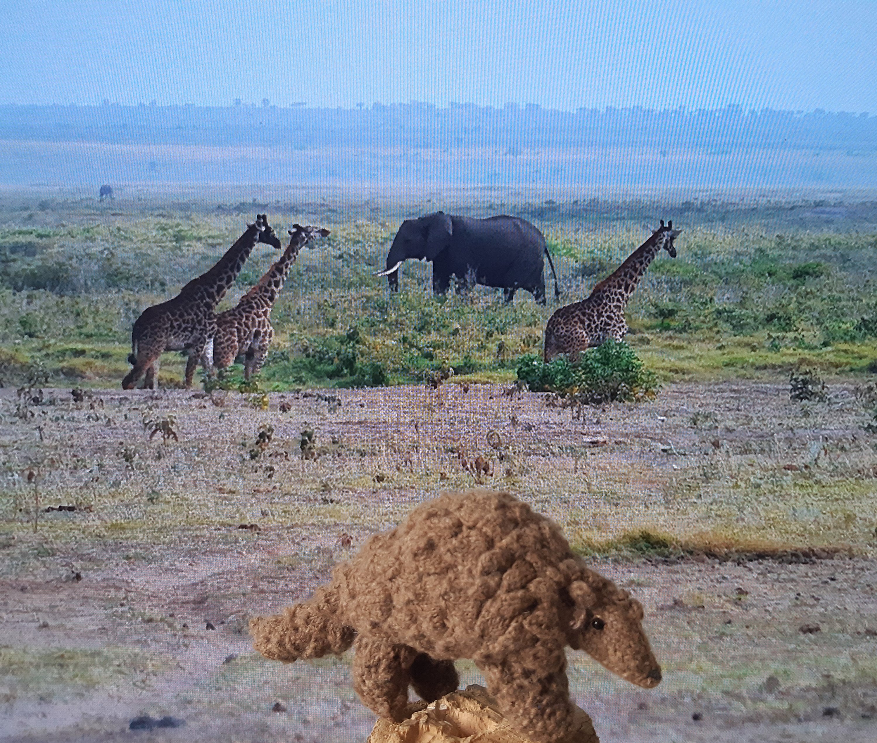 Pangolin knitting pattern | Etsy