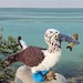 Seabirds (knitting Pattern) - Etsy