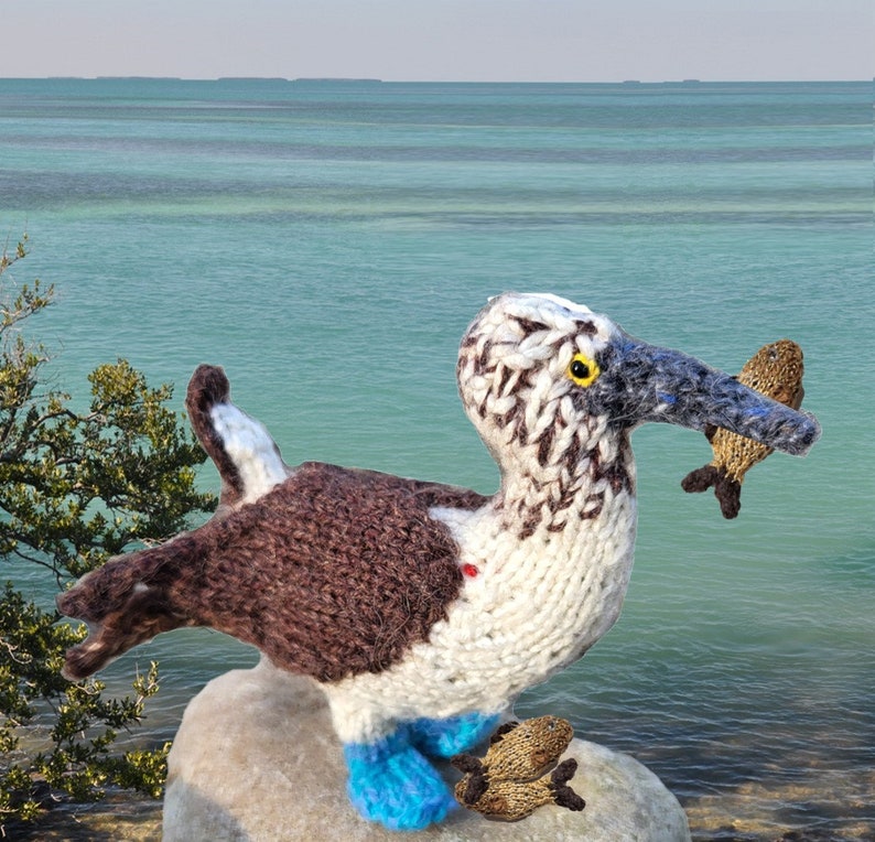 Seabirds (knitting Pattern) - Etsy