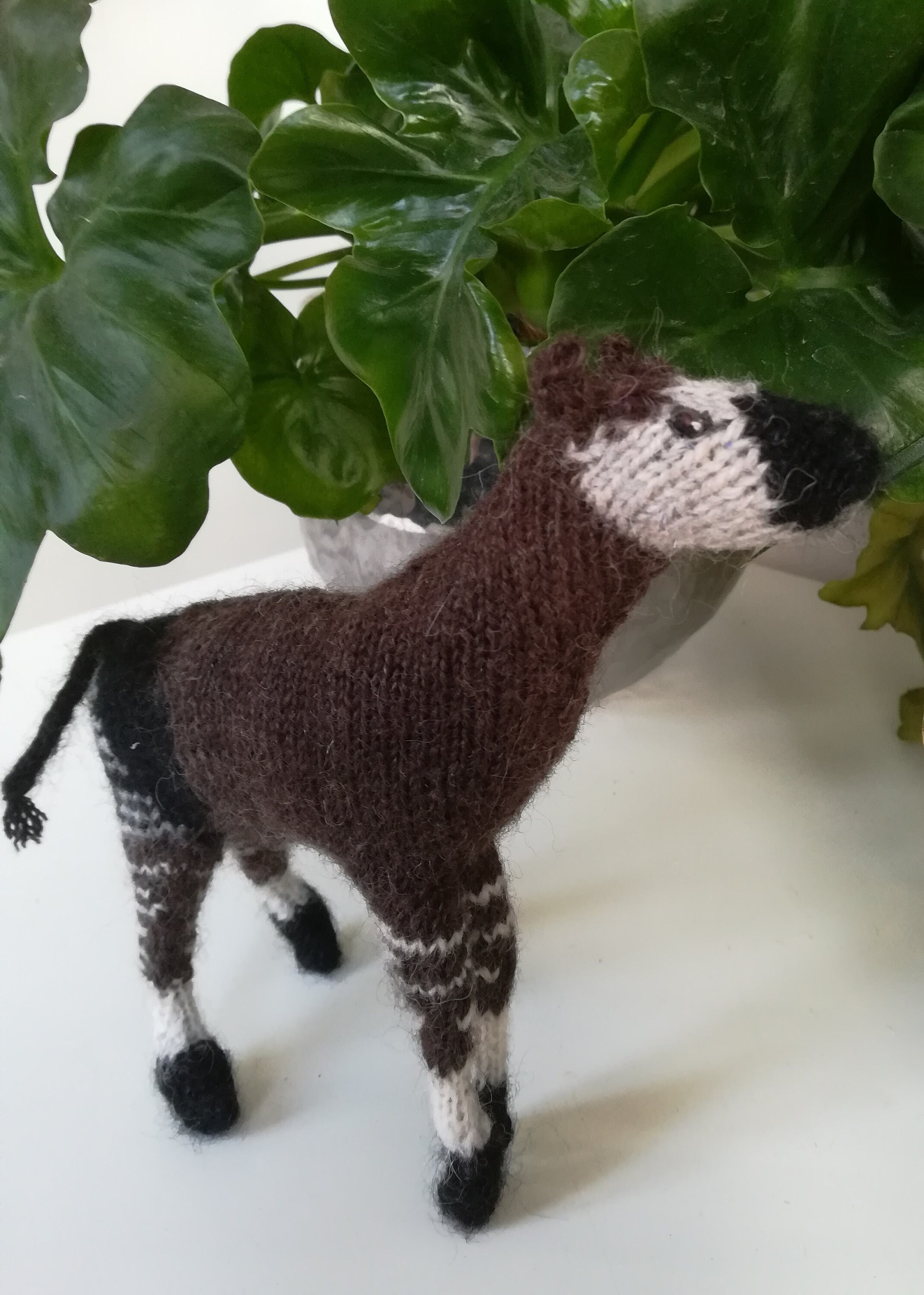 Okapi (knitting Pattern) - Etsy