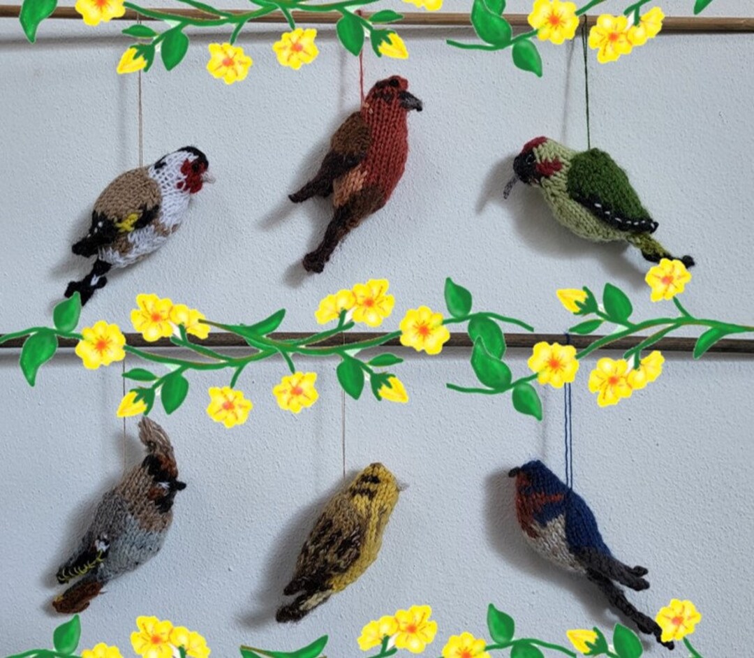 Bright Birds (knitting Pattern) - Etsy