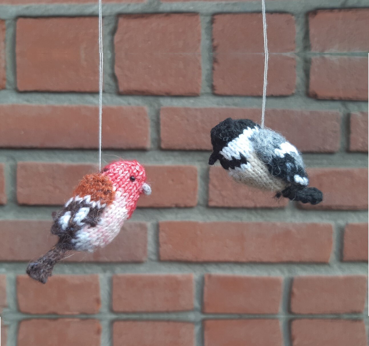 Backyard Birds knitting Pattern - Etsy