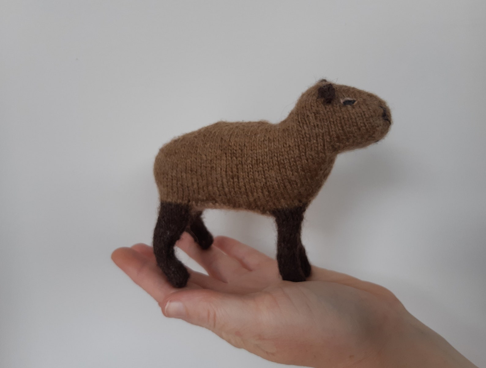 Capybara (knitting Pattern) - Etsy