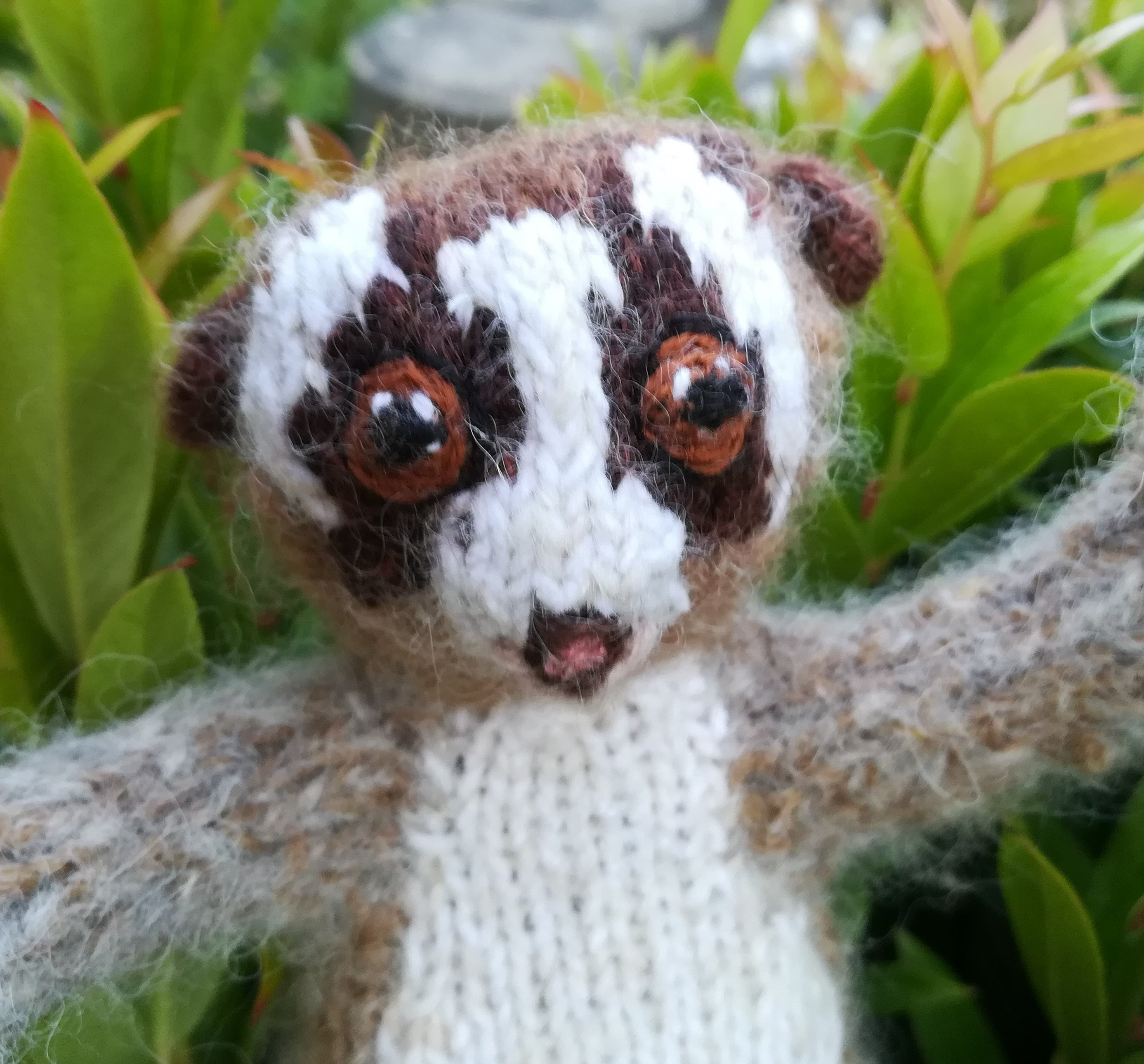 Slow Loris (knitting Pattern) - Etsy