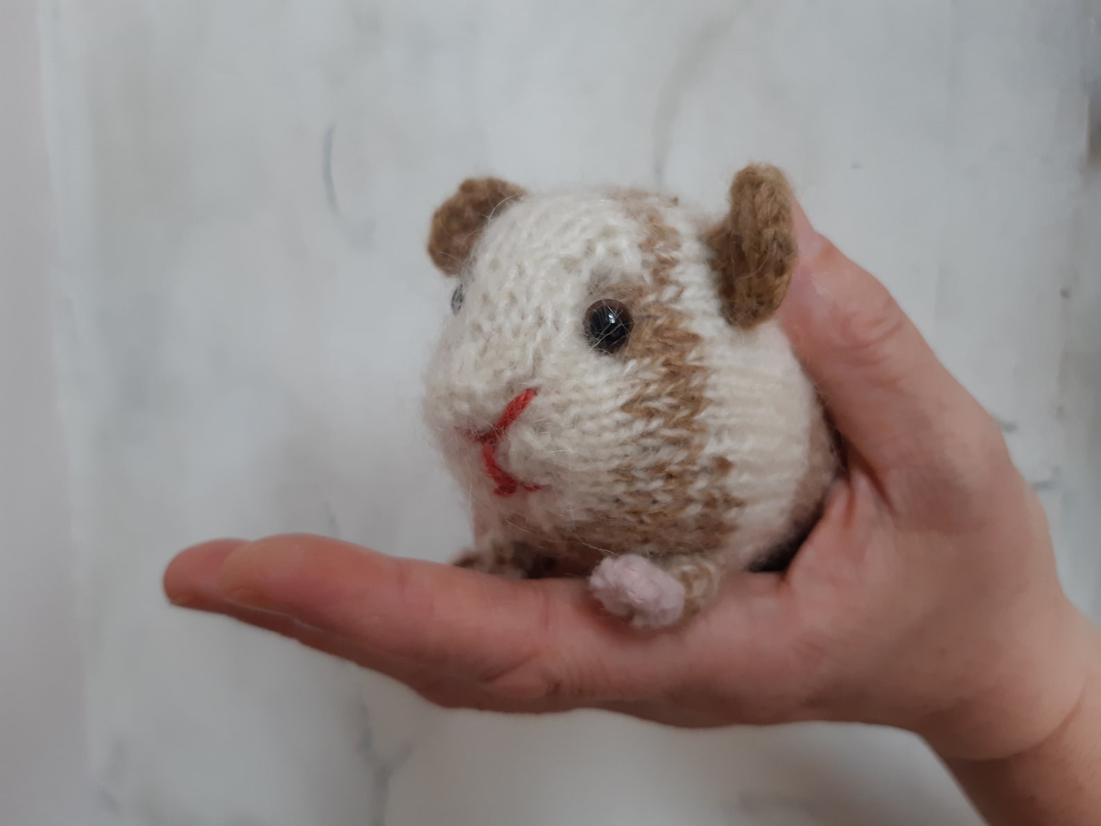 Guinea Pig (knitting Pattern) - Etsy