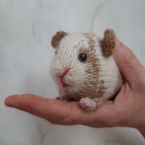Guinea Pig (knitting Pattern) - Etsy