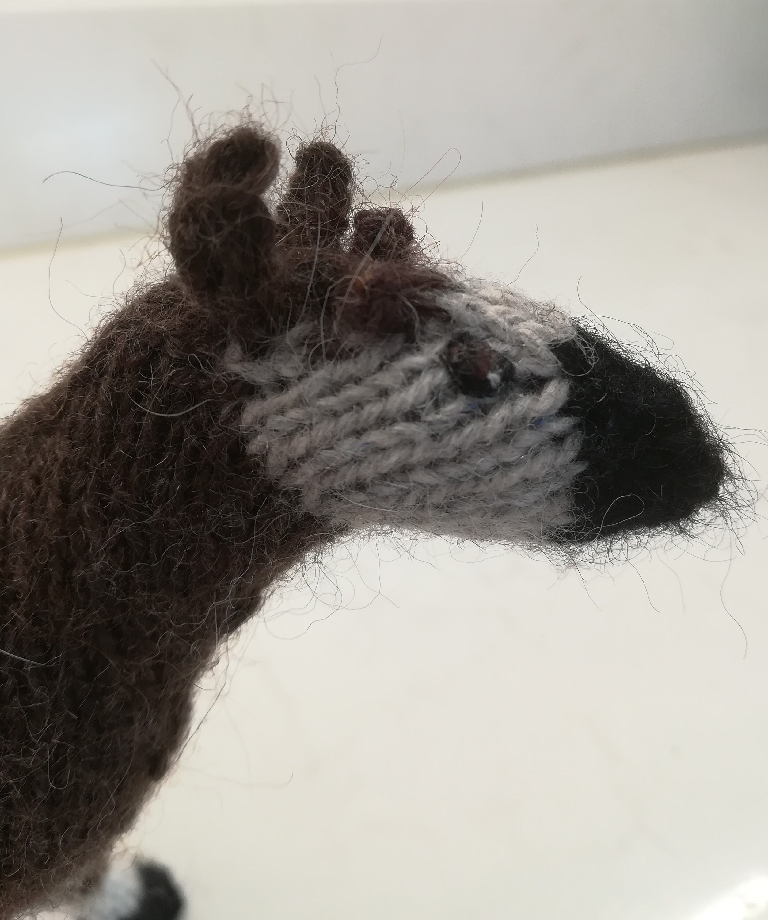 Okapi (knitting Pattern) - Etsy