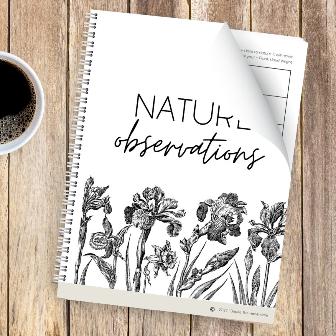 Charlotte Mason Observation Calendars, Nature Study, Charlotte Mason ...