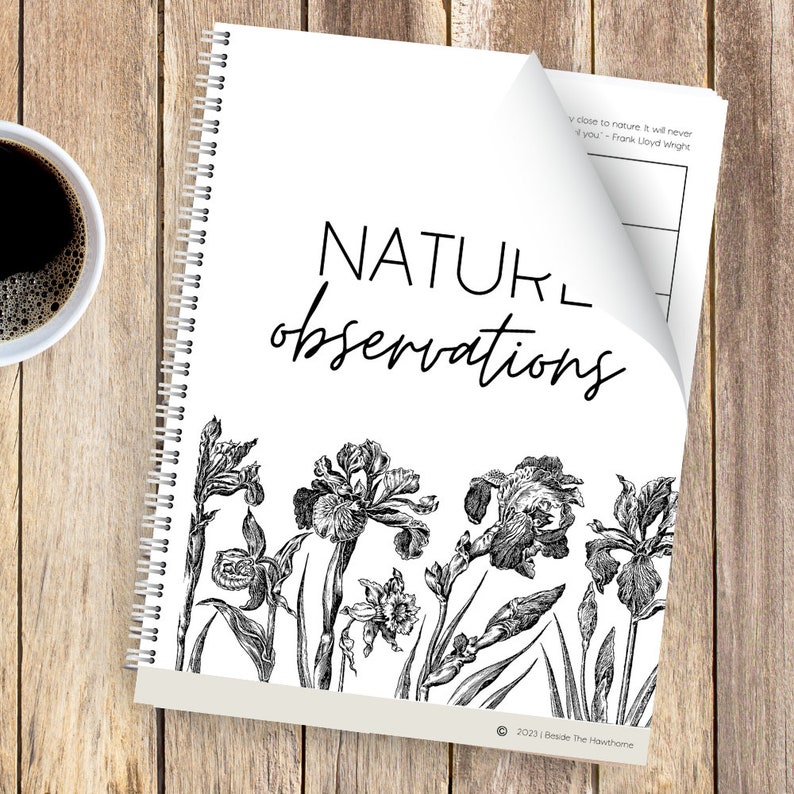 Charlotte Mason Observation Calendars, Nature Study, Charlotte Mason ...