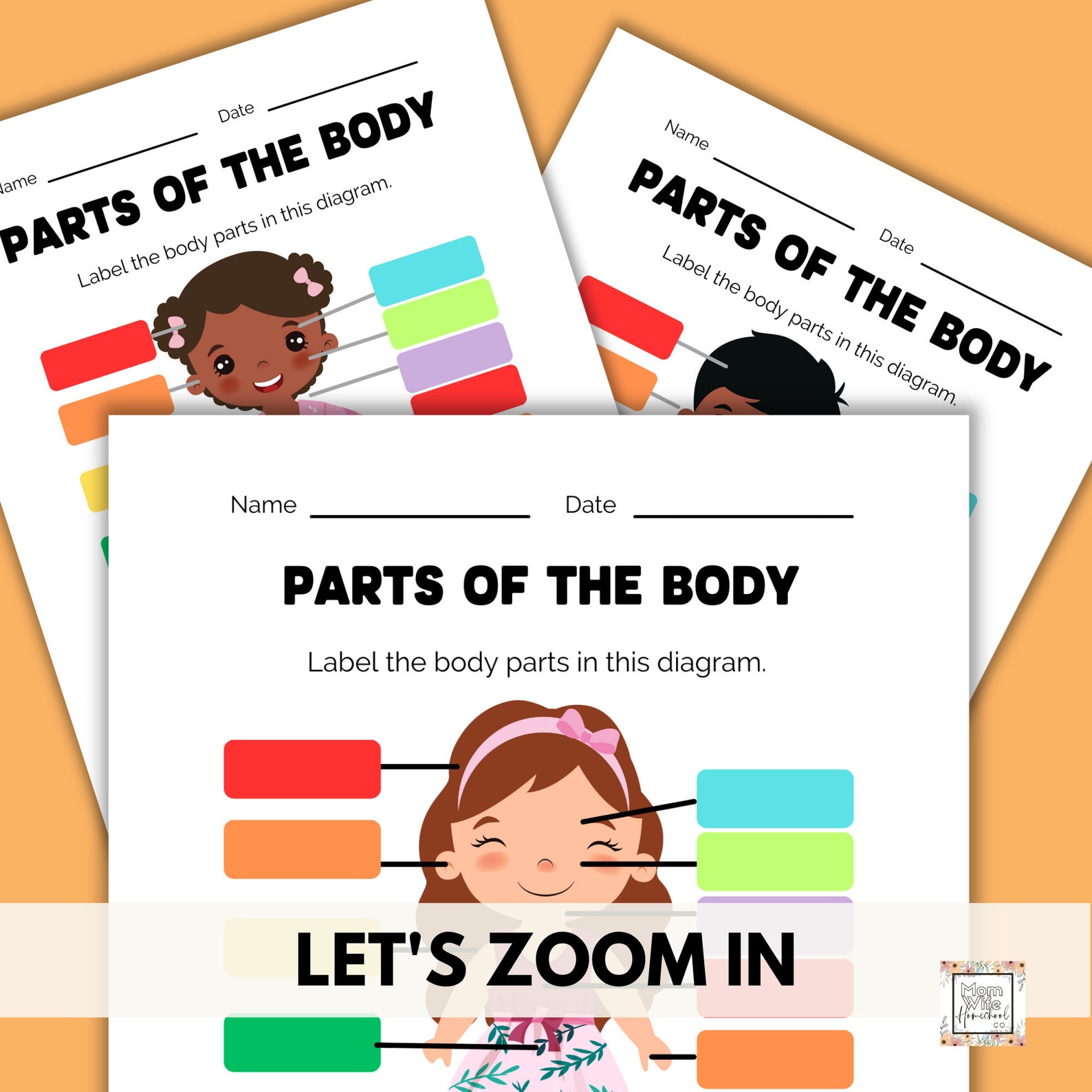 Parts of the Body for Kids Human Anatomy Worksheets Homeschool ...