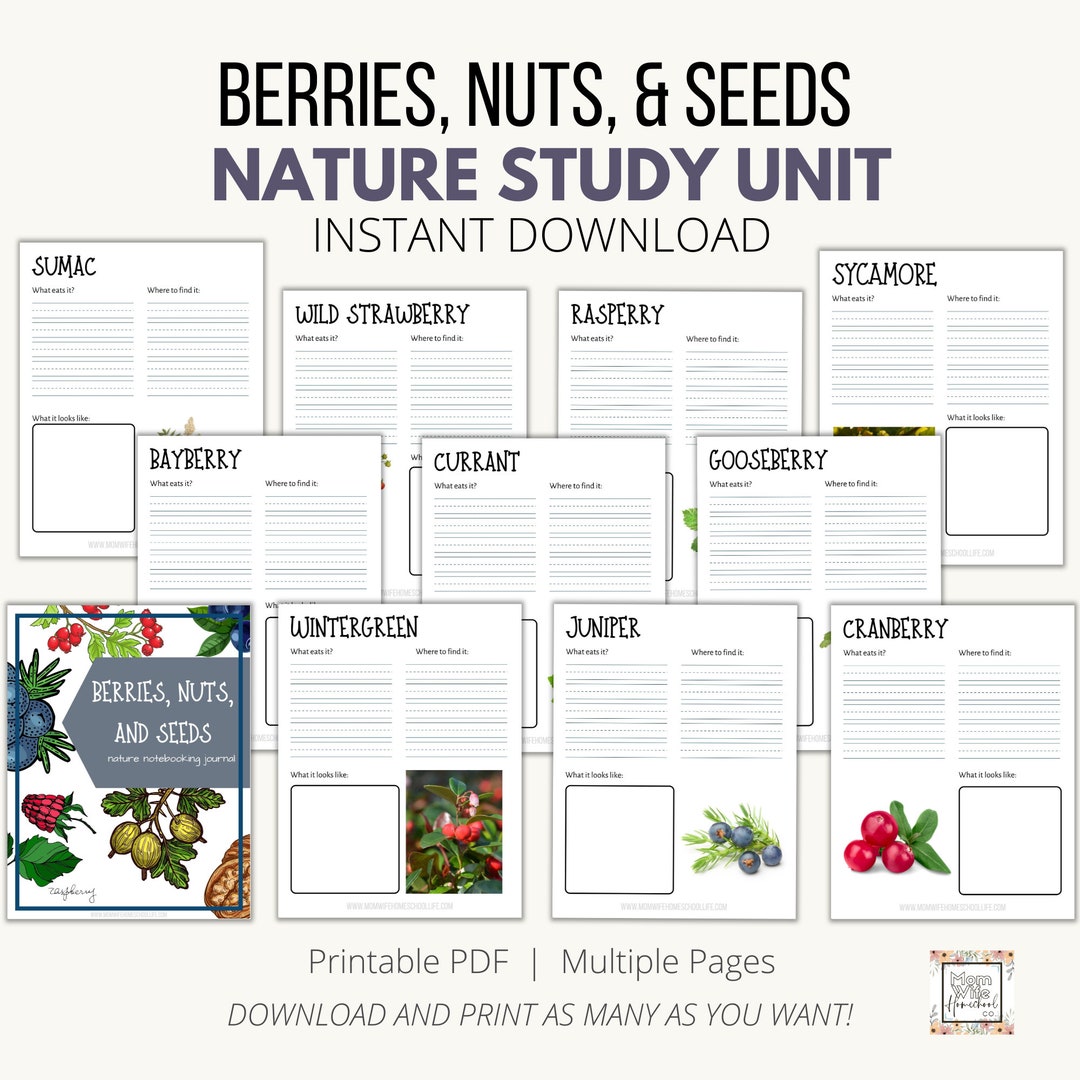 Berries, Nuts, and Seeds Nature Study Unit Homeschool Unit Study ...
