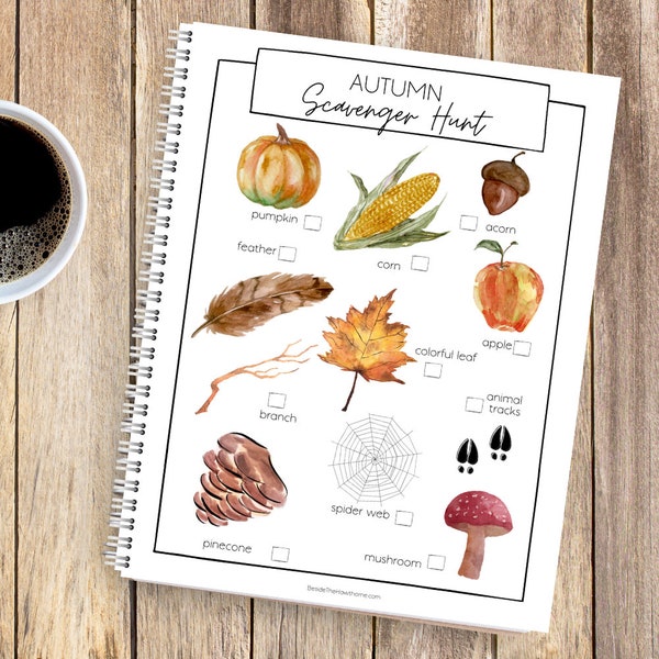 Pumpkin Life Cycle Flashcards, Nature Study Flash Cards, Nature ...