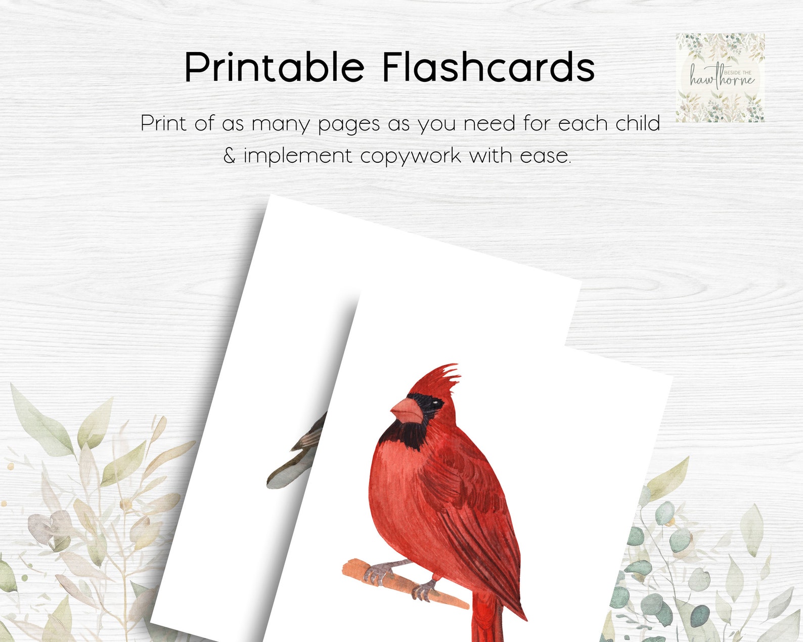 Bird Identification Flashcards, Nature Study Flash Cards, Nature ...