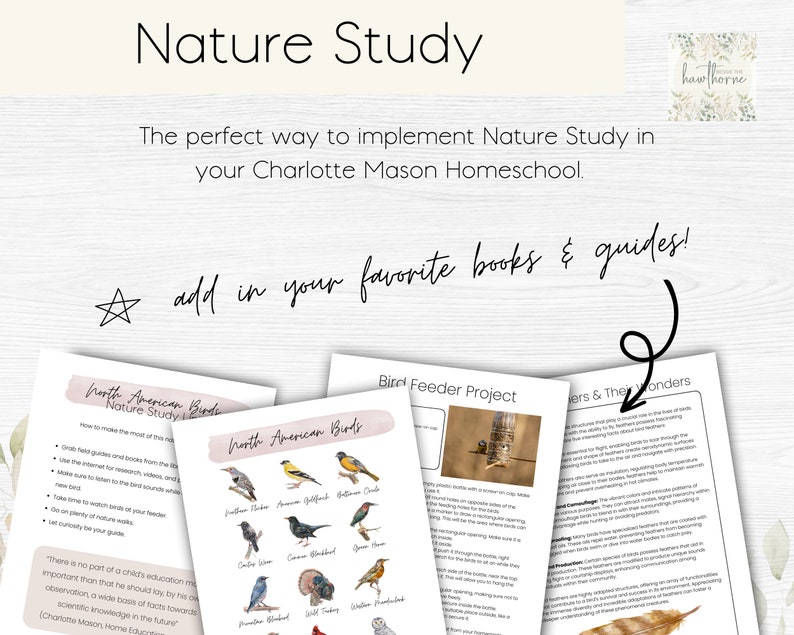 North American Birds Nature Study Unit, Unit Study, Homeschool ...