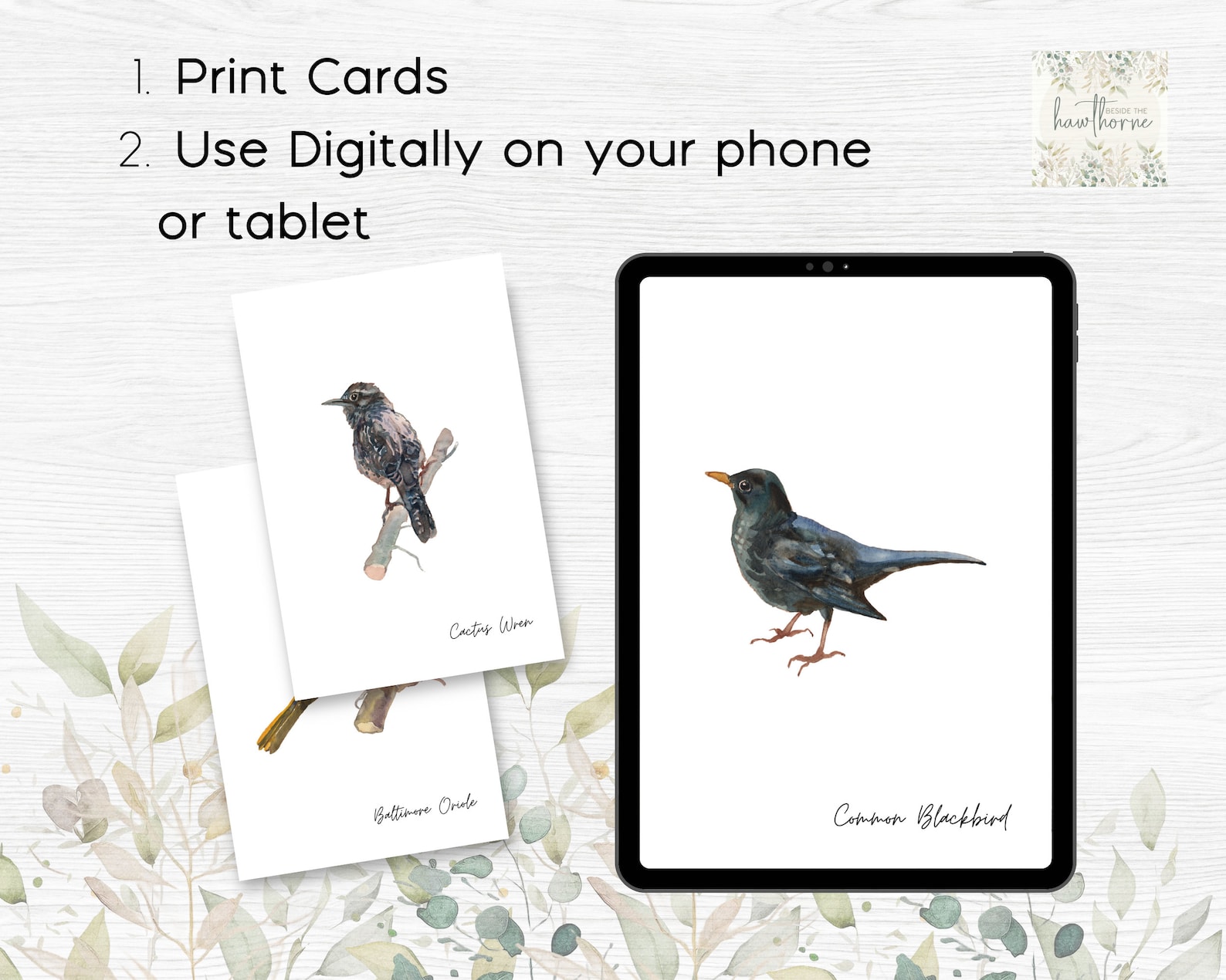 Bird Identification Flashcards, Nature Study Flash Cards, Nature ...