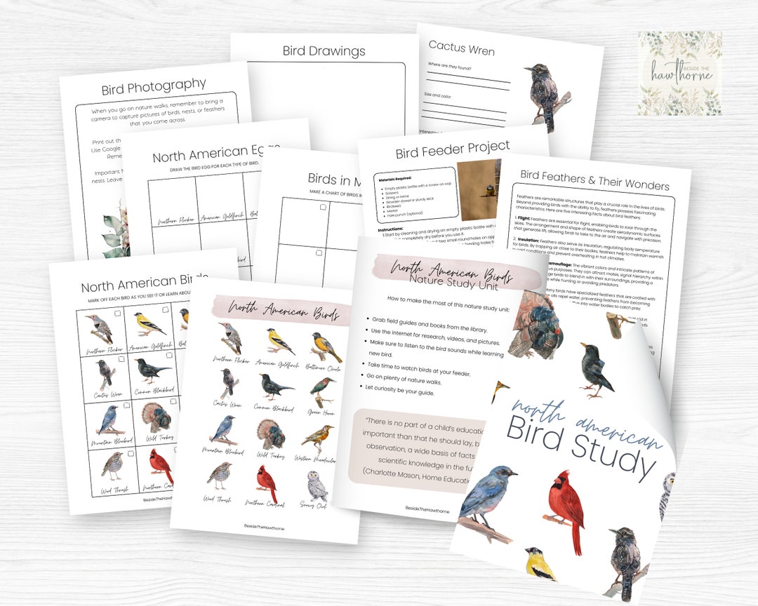North American Birds Nature Study Unit, Unit Study, Homeschool ...