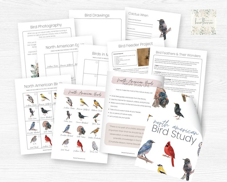 North American Birds Nature Study Unit, Unit Study, Homeschool ...