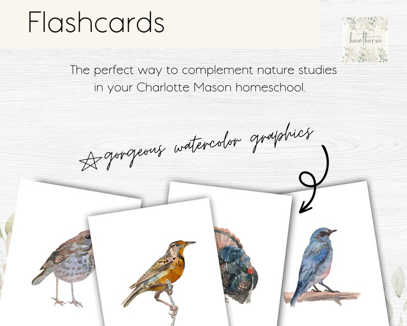 Bird Identification Flashcards, Nature Study Flash Cards, Nature ...