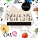 Nature Alphabet Flashcards ABC Flash Cards Nature Study Homeschool ...