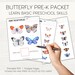 Butterfly Pre-k Packet Preschool Worksheets Printable Letters and ...