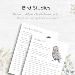 North American Birds Nature Study Unit, Unit Study, Homeschool ...