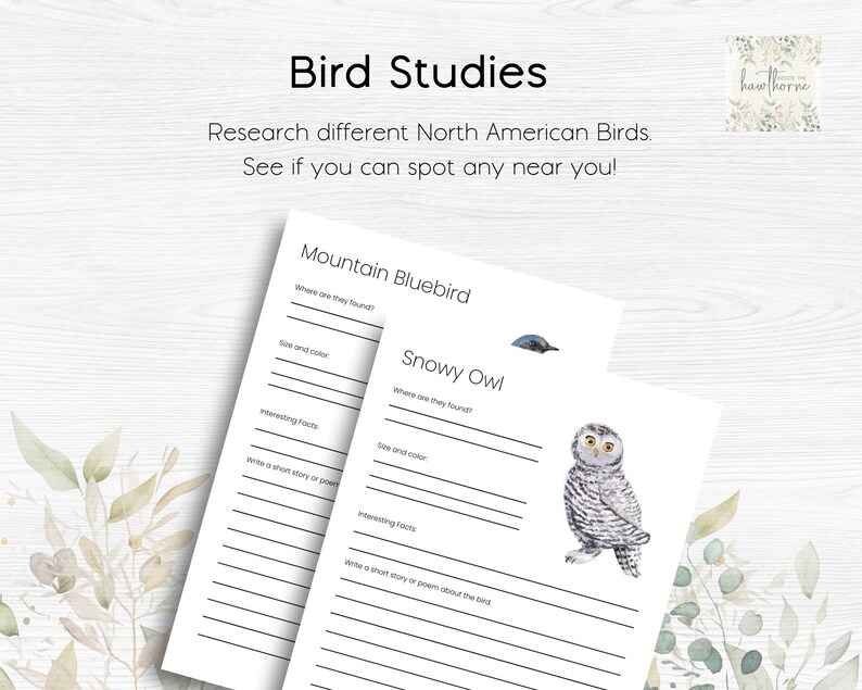 North American Birds Nature Study Unit, Unit Study, Homeschool ...