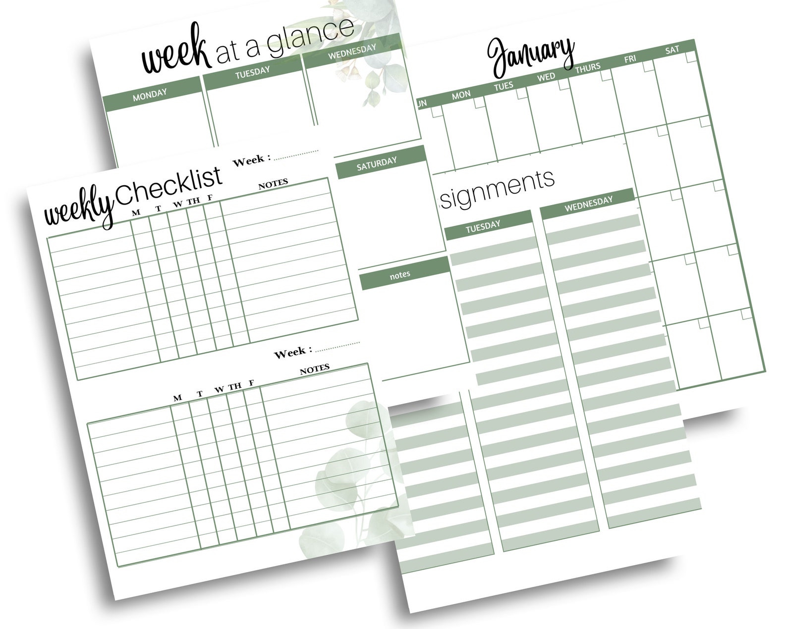 Charlotte Mason Homeschool Planner Eucalyptus Homeschool Planners ...
